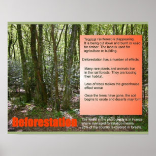 Ontbossing Posters en afdrukken | Zazzle.be