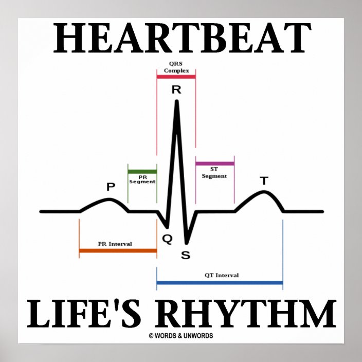 Heartbeat Life's Rhythm (ECG/EKG-hartslag) Poster | Zazzle.be