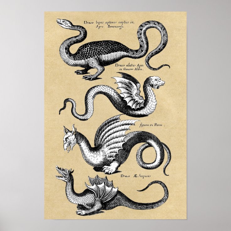 Historie van de Muur van Dragons Poster | Zazzle.be