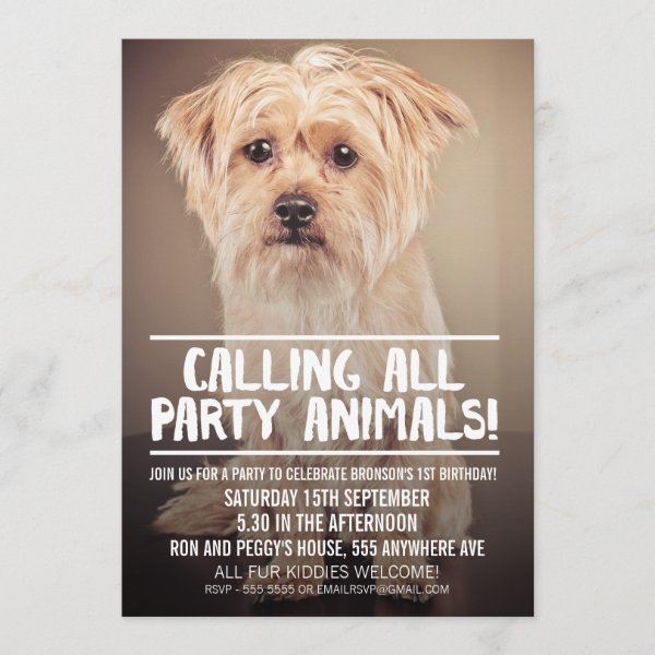 Invitations & Faire-part Chiens | Zazzle.be
