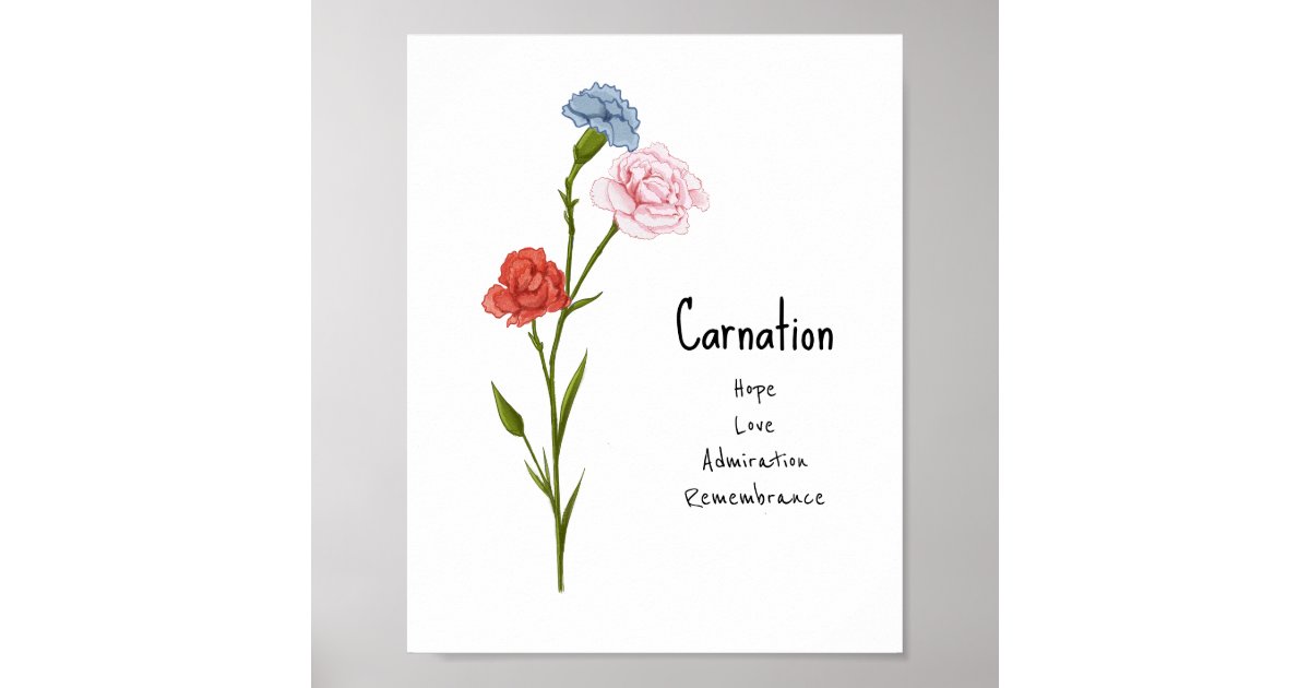 Poster Carnation Janvier Fleur de naissance aquarelle Art | Zazzle.be